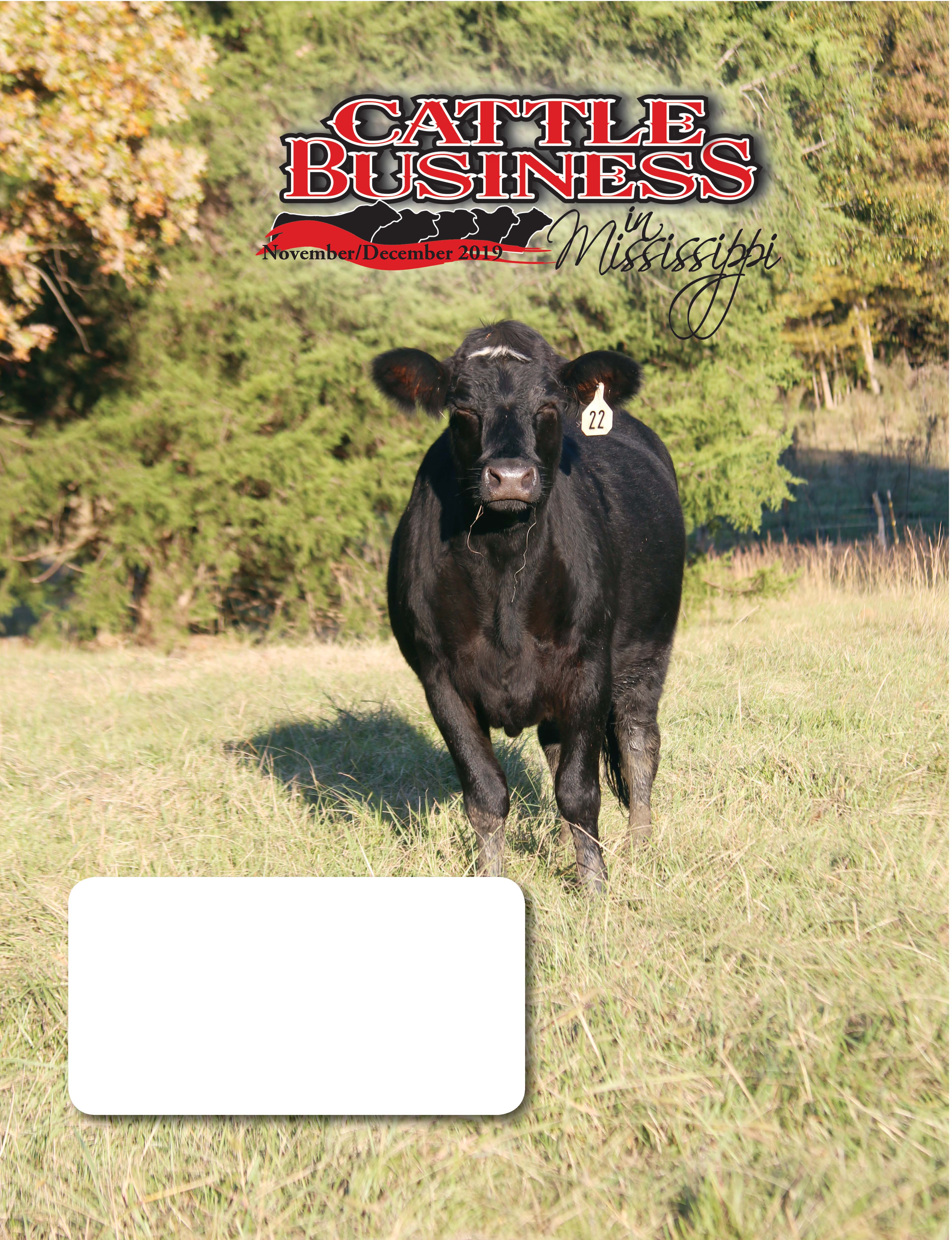Cattle Business Magazine